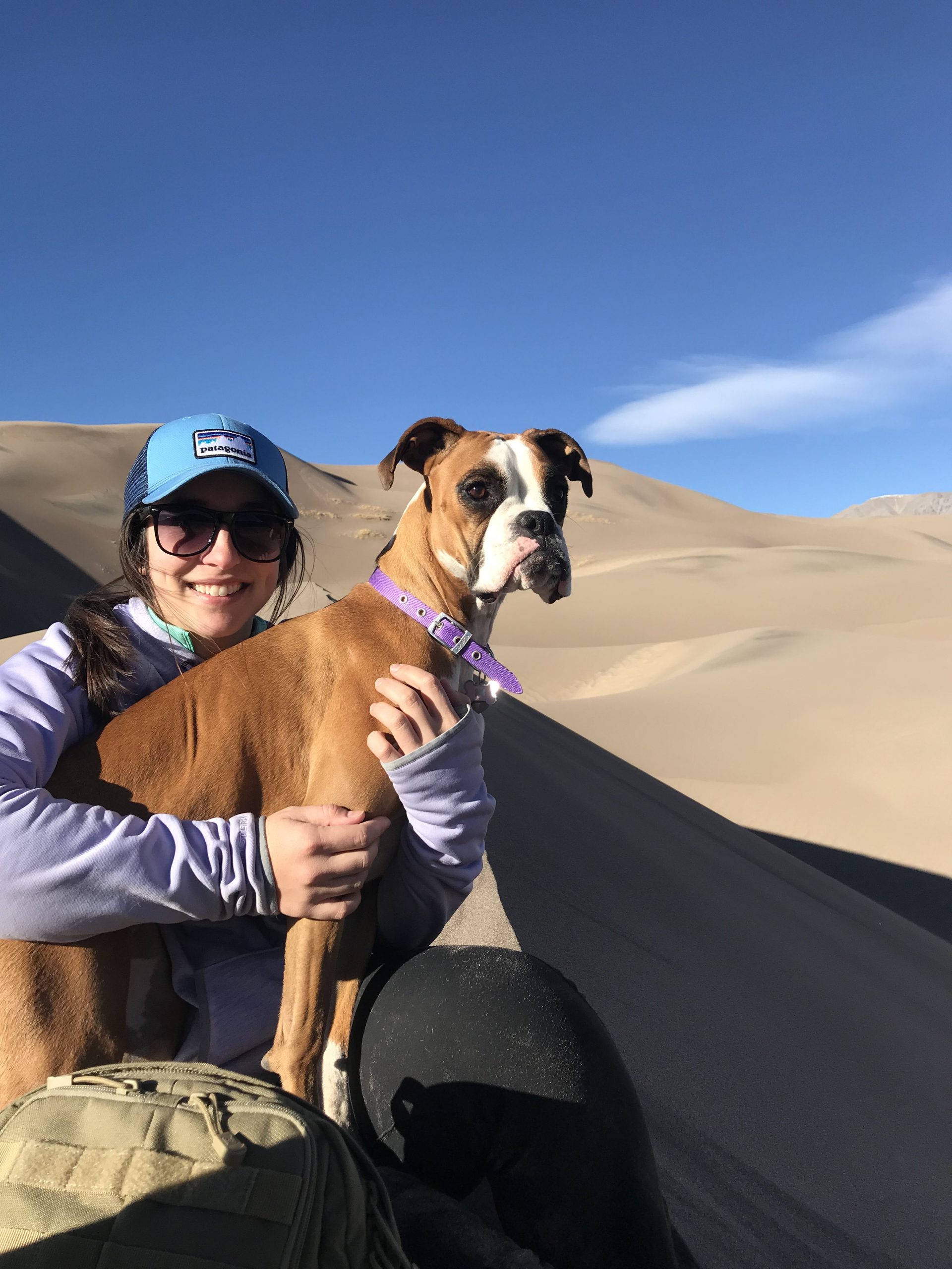 In Memory of Thea | Evolution Veterinary Specialists