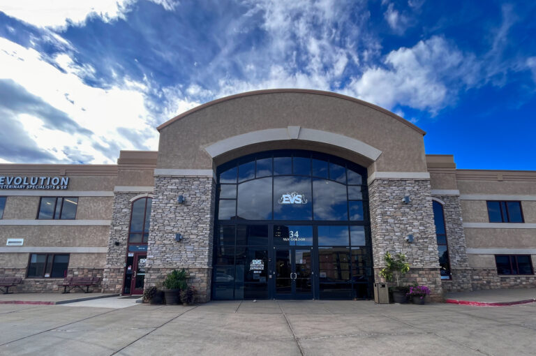 Evolution Veterinary Specialists | Emergency & Veterinary Specialty